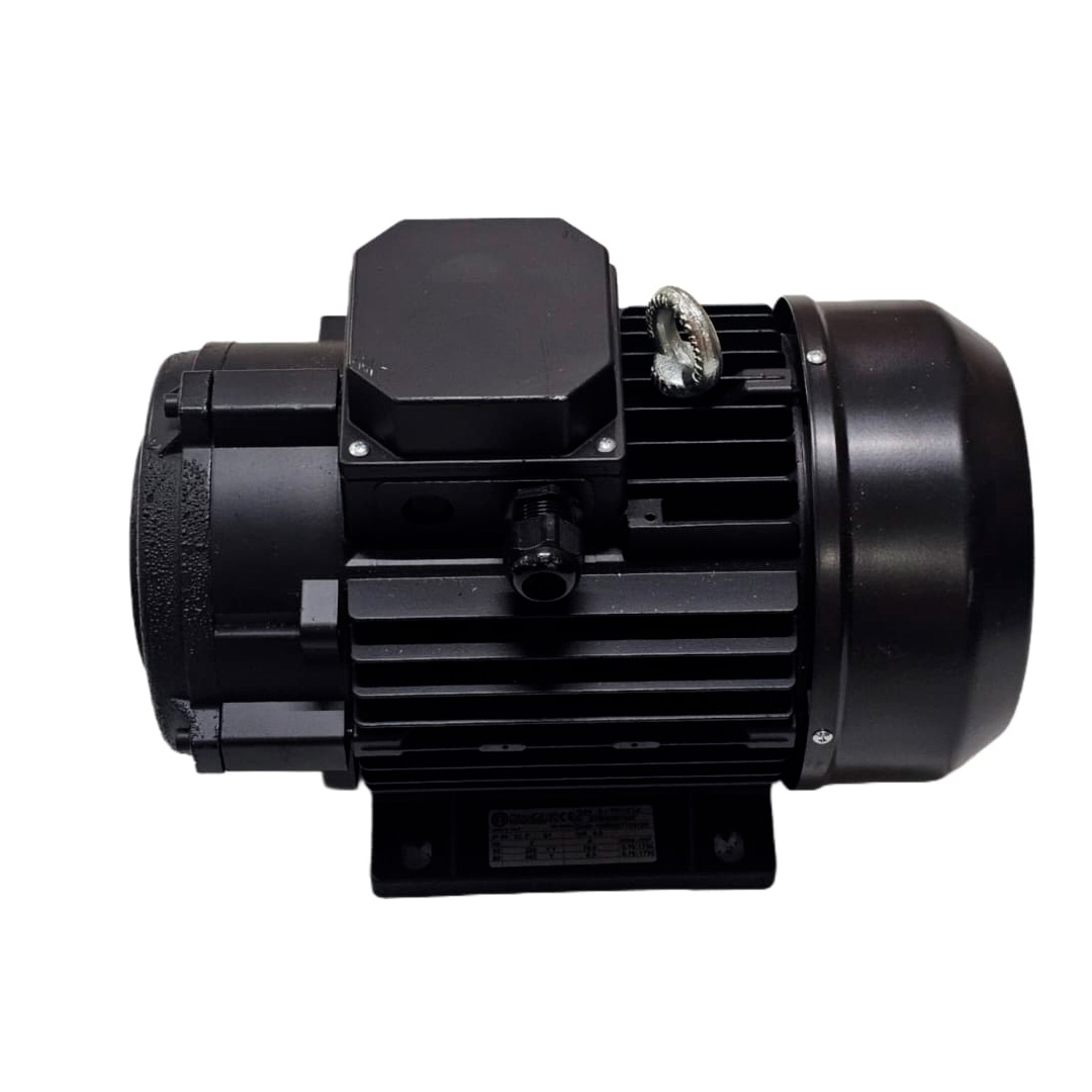 Motor Italiano 7.5 HP eje hueco, especial para hidrolavadora