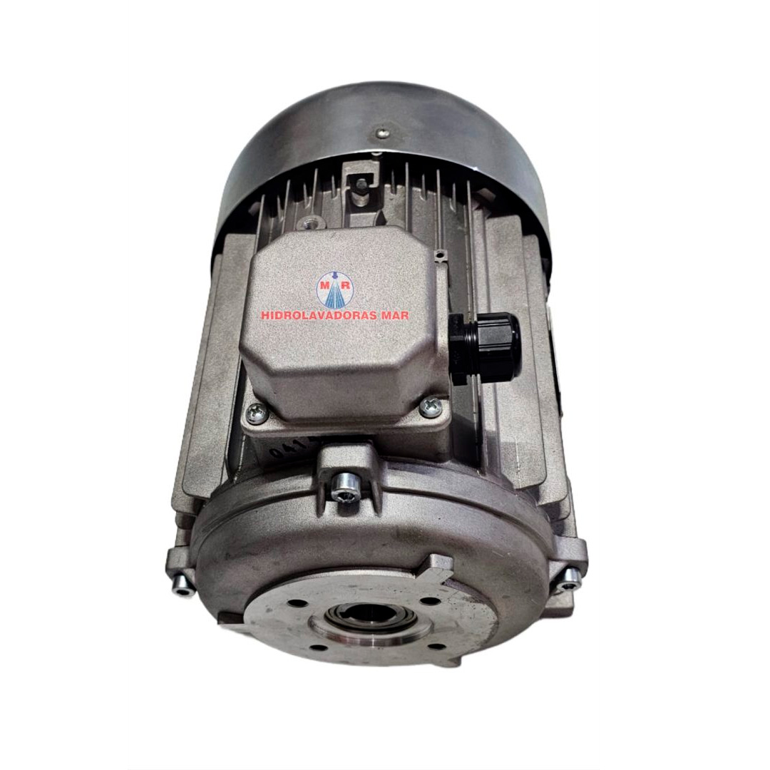 Motor Italiano 5.5 HP eje hueco, especial para hidrolavadora