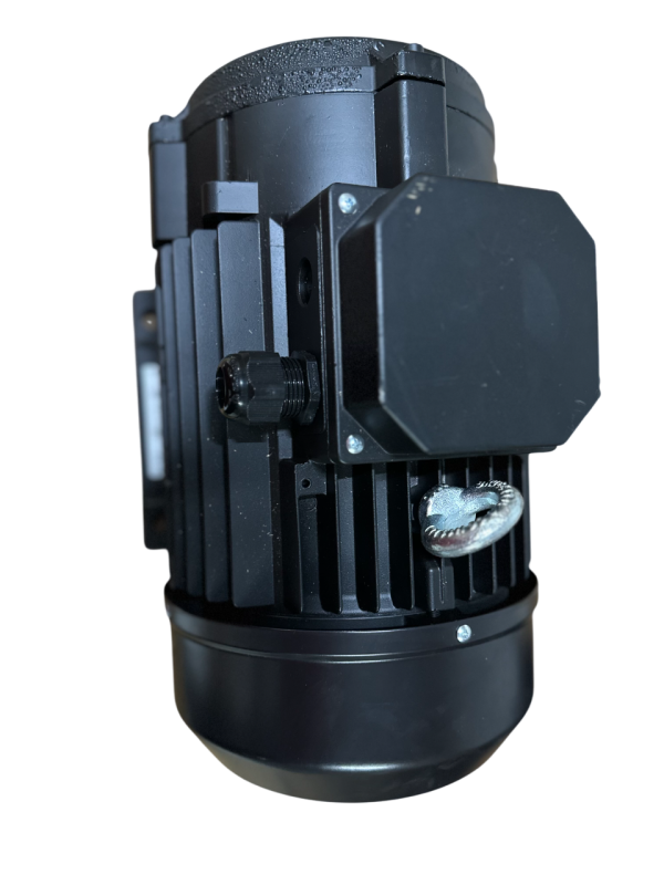 Motor Italiano 5.5 HP eje hueco, especial para hidrolavadora